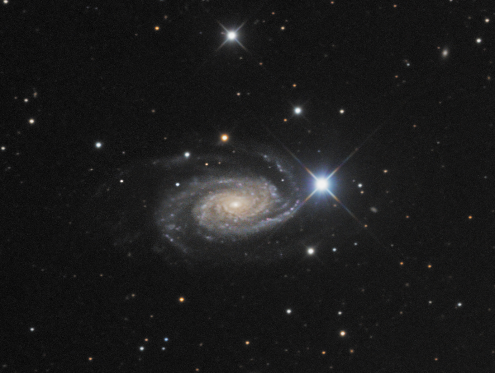 NGC 3338 - Experienced Deep Sky Imaging - Cloudy Nights