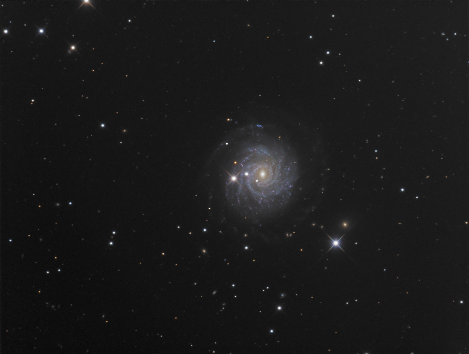 NGC 3344 - Experienced Deep Sky Imaging - Cloudy Nights