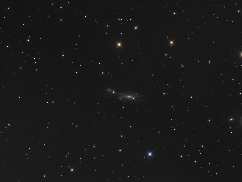 Arp 279 - NGC 1253 and NGC 1253A - AT6RC - Experienced Deep Sky Imaging ...