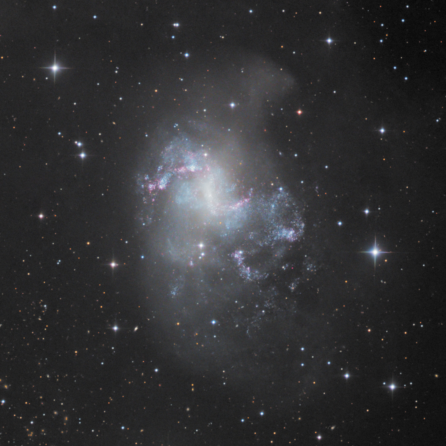 NGC 1313 - Experienced Deep Sky Imaging - Cloudy Nights