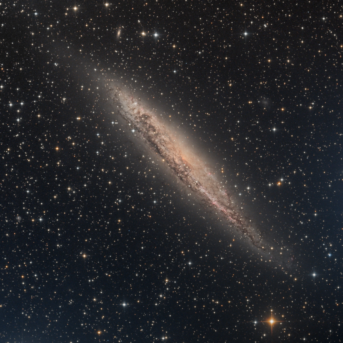 NGC 4945 - Experienced Deep Sky Imaging - Cloudy Nights