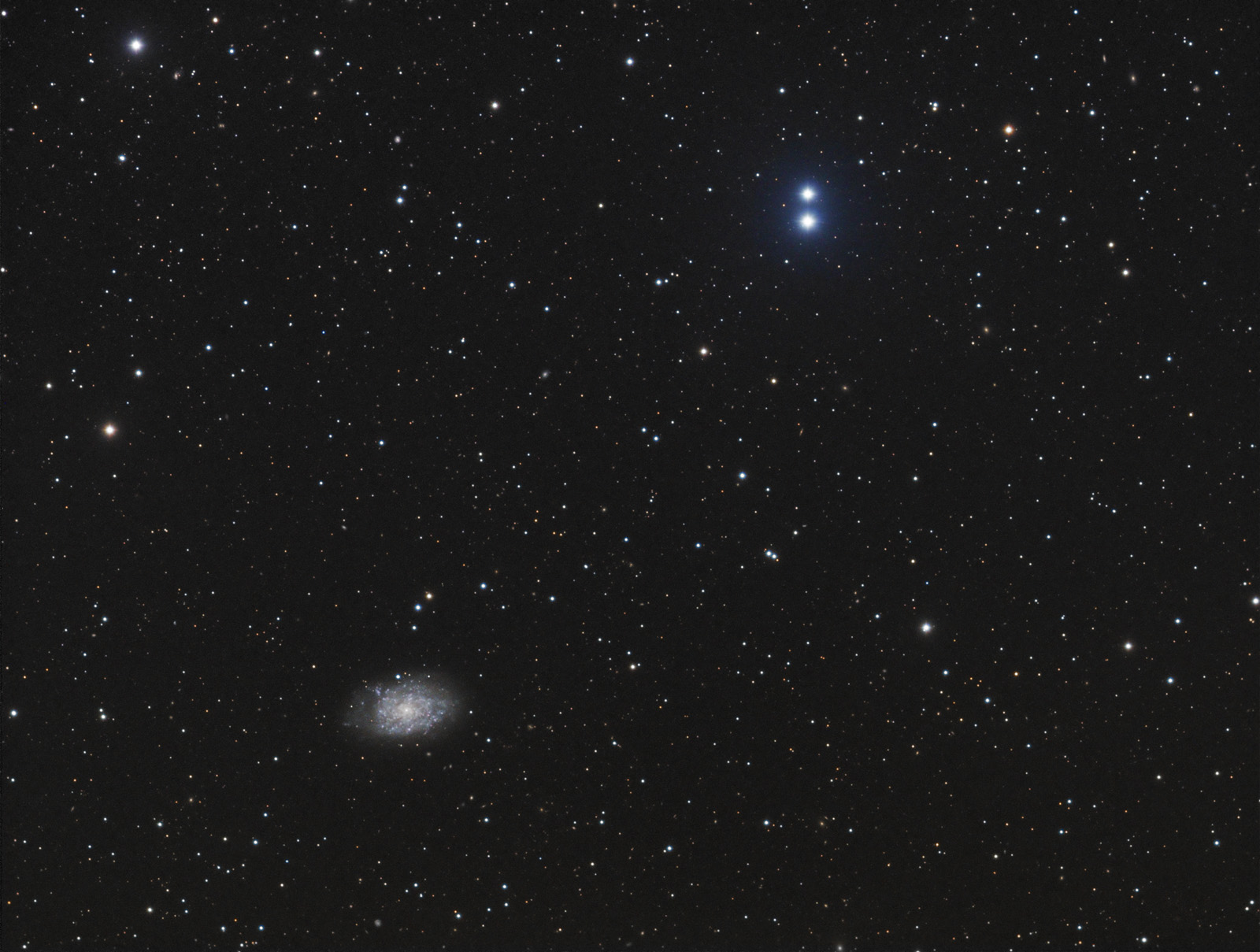 NGC 7793 - Experienced Deep Sky Imaging - Cloudy Nights